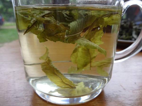 Tee kaufen | 3.280 Teesorten | Tee kaufen im Teelexikon